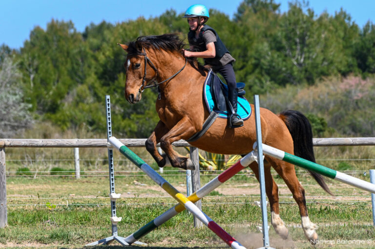 Le Centre Equestre – Centre Equestre "Les Ayguades"